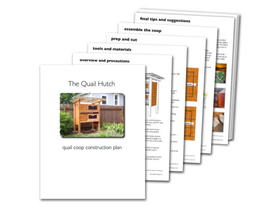 The Quail Hutch Backyard Quail Coop Plans | The Garden Coop