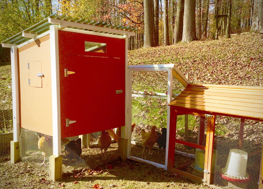 Chicken Coop Tour No. 14: Fifteen (Anything But) Basic Chicken Coops ...