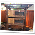 The Quail Hutch Backyard Quail Coop Plans | The Garden Coop