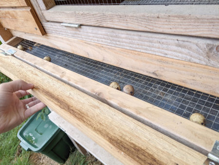 The Quail Hutch Backyard Quail Coop Plans | The Garden Coop