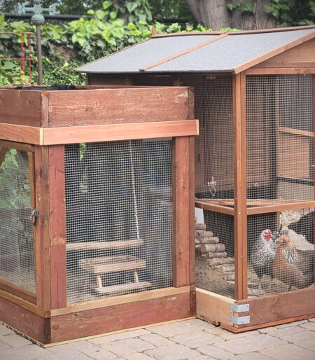 Nine Secure Chicken Runs Built Using The Garden Run Plans