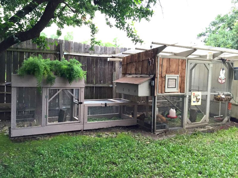 Nine Secure Chicken Runs Built Using The Garden Run Plans