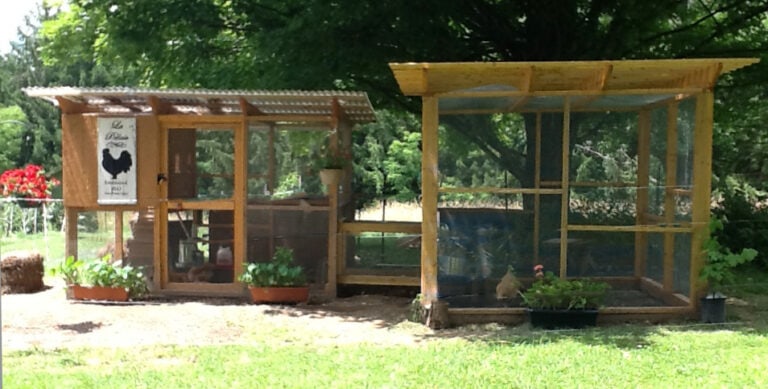 Nine Secure Chicken Runs Built Using The Garden Run Plans