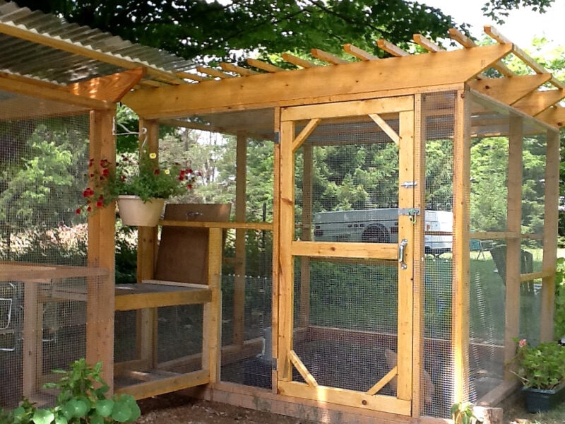 Nine Secure Chicken Runs Built Using The Garden Run Plans