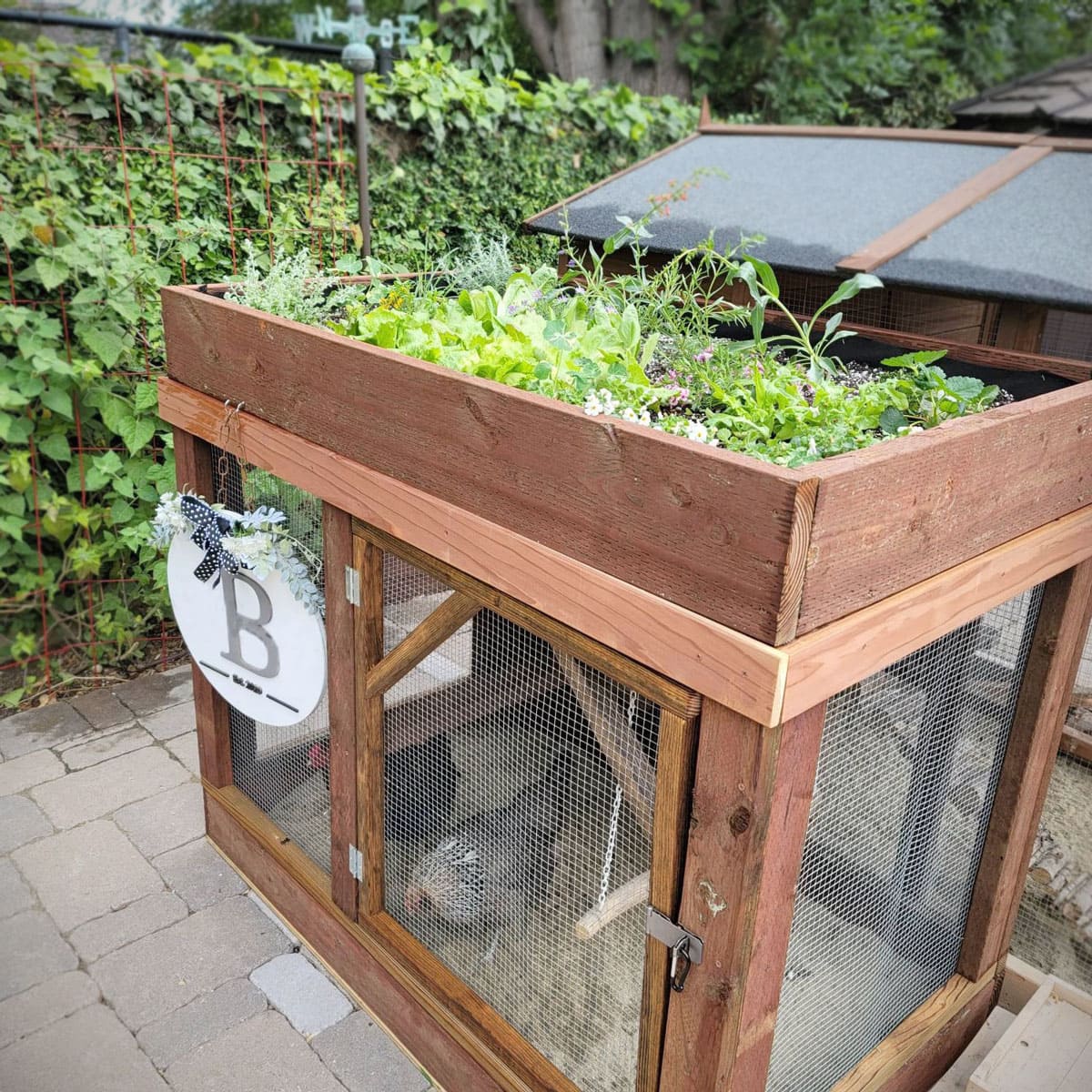 Nine Secure Chicken Runs Built Using The Garden Run Plans