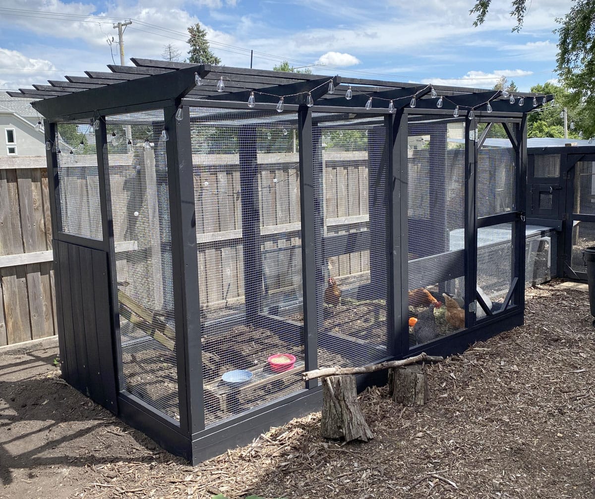 Nine Secure Chicken Runs Built Using The Garden Run Plans