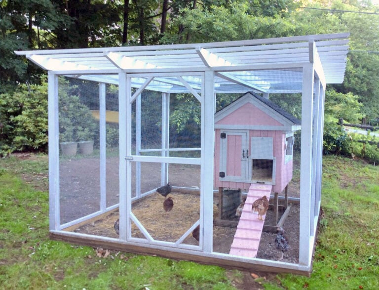 Nine Secure Chicken Runs Built Using The Garden Run Plans