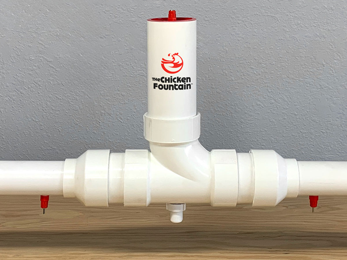 Backyard Chicken Watering Systems