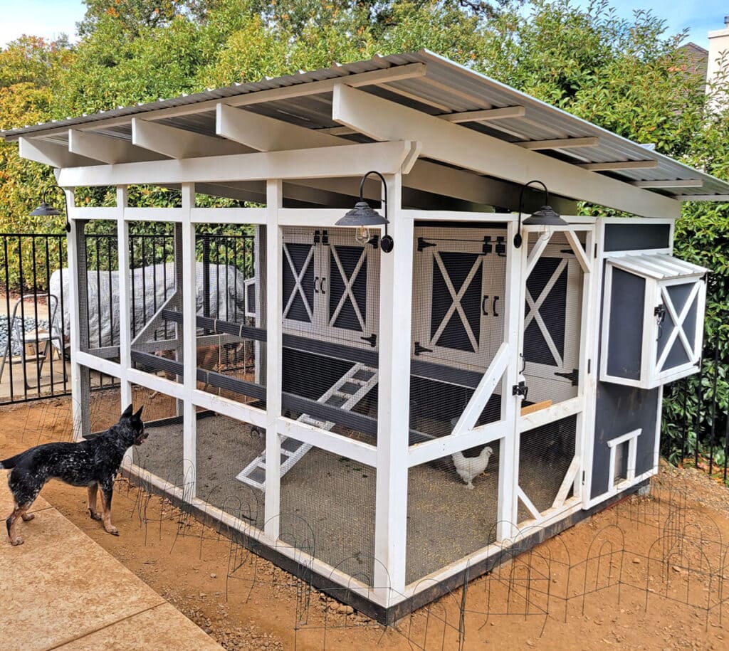 Examples of Large Backyard Chicken Coops | The Garden Coop